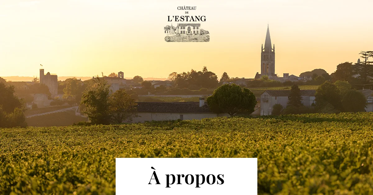 CHÂTEAU DE L’ESTANG - Château de mariage à Saint-Genès-de-Castillon ...
